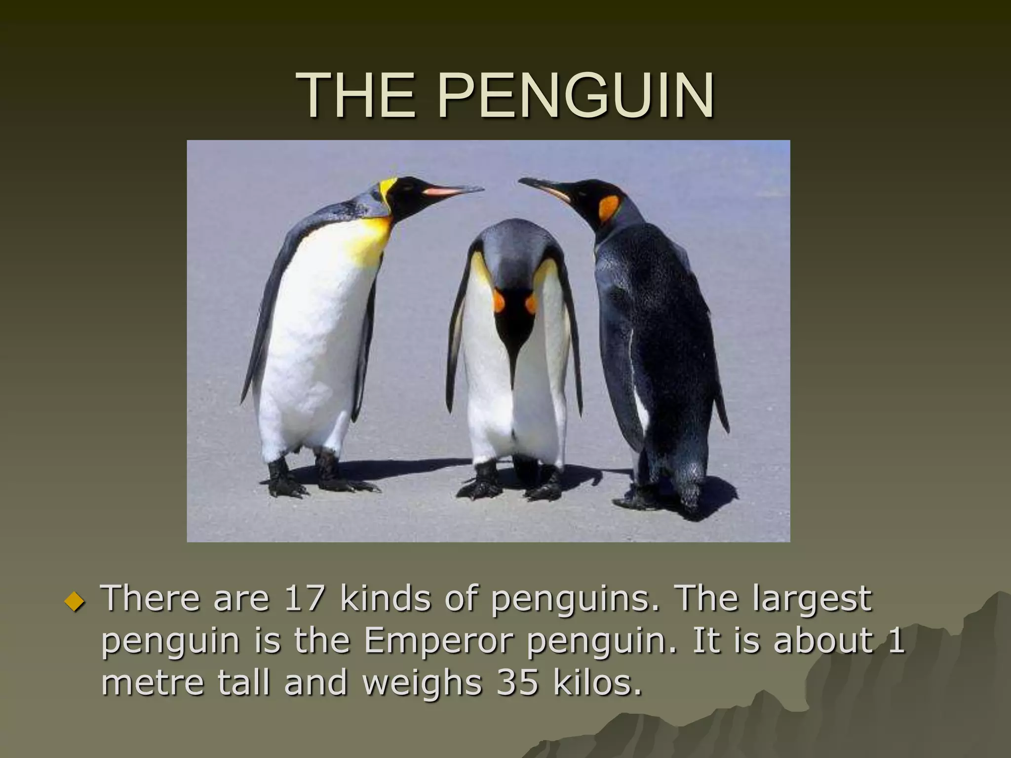 Animals in danger | PPT