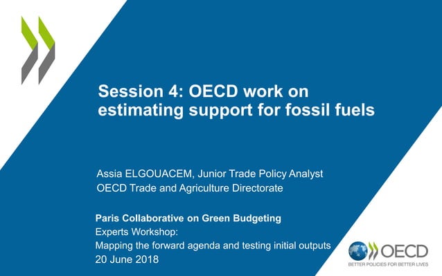 Identifying and assessing harmful expenditures - Assia Elgouacem, OECD | PPT