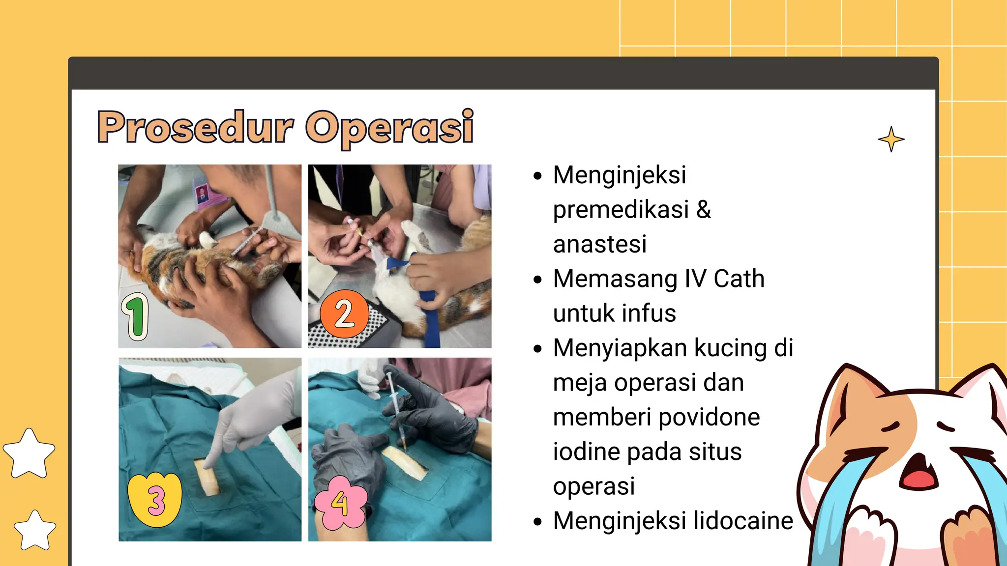 Manajemen Kontrol Ovariohisterektomi pada Kucing | PDF