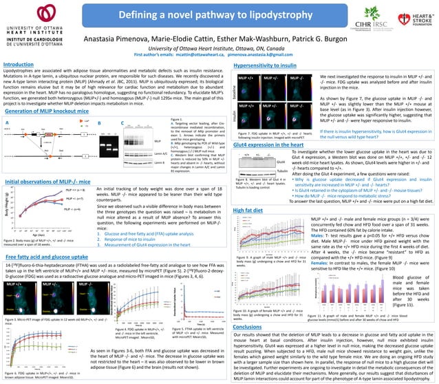 Anastasia's CV Poster PDF | PDF