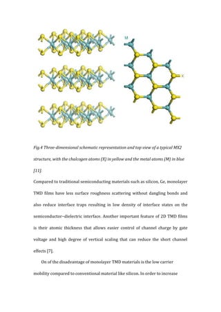 5164 2015 YRen Two-Dimensional Field Effect Transistors | DOC