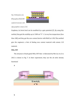 5164 2015 YRen Two-Dimensional Field Effect Transistors | DOC