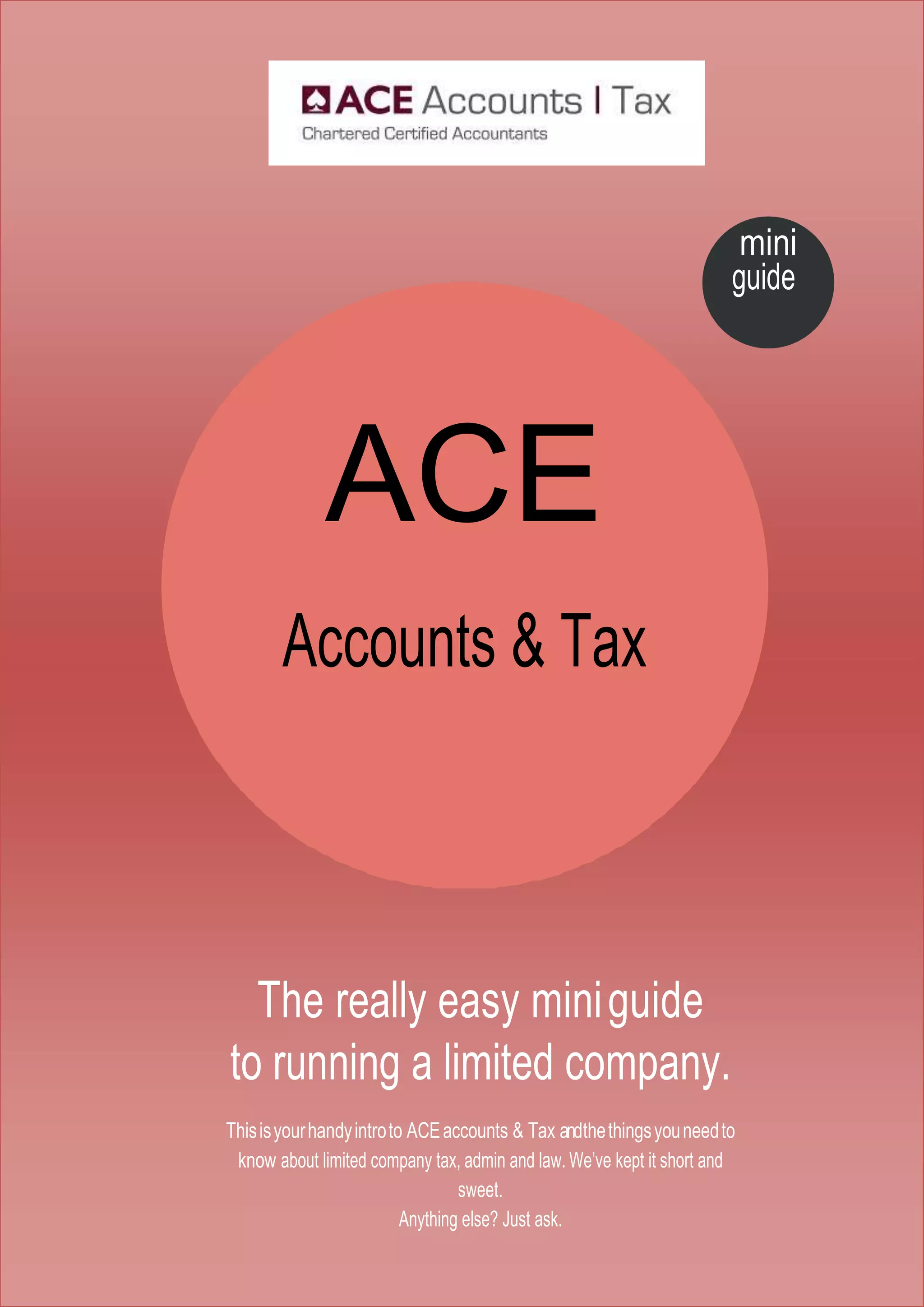 ACE accounts-miniguide v1 | PDF