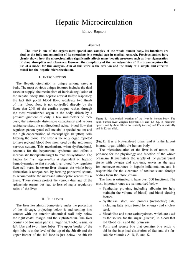 Microcirculation | PDF | Digestive Disorders | Diseases and Conditions