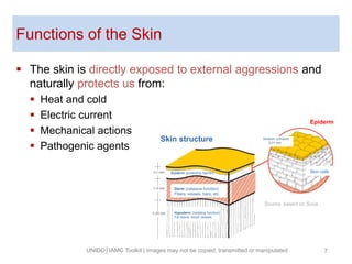 D15 1 skin protection_final-web | PDF