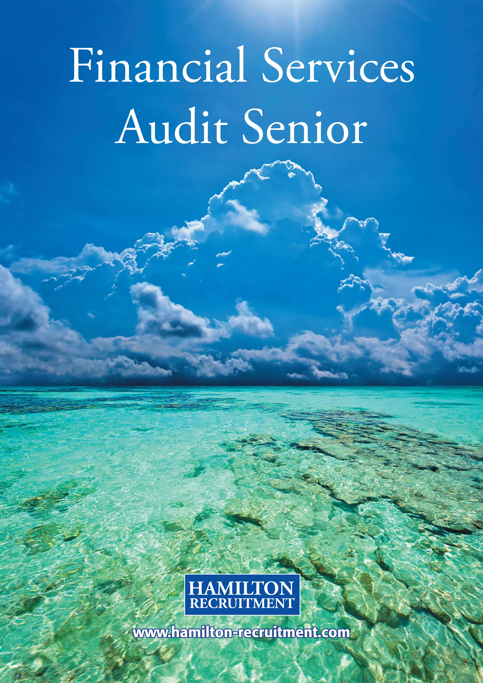 Financial Services Audit Senior | PDF