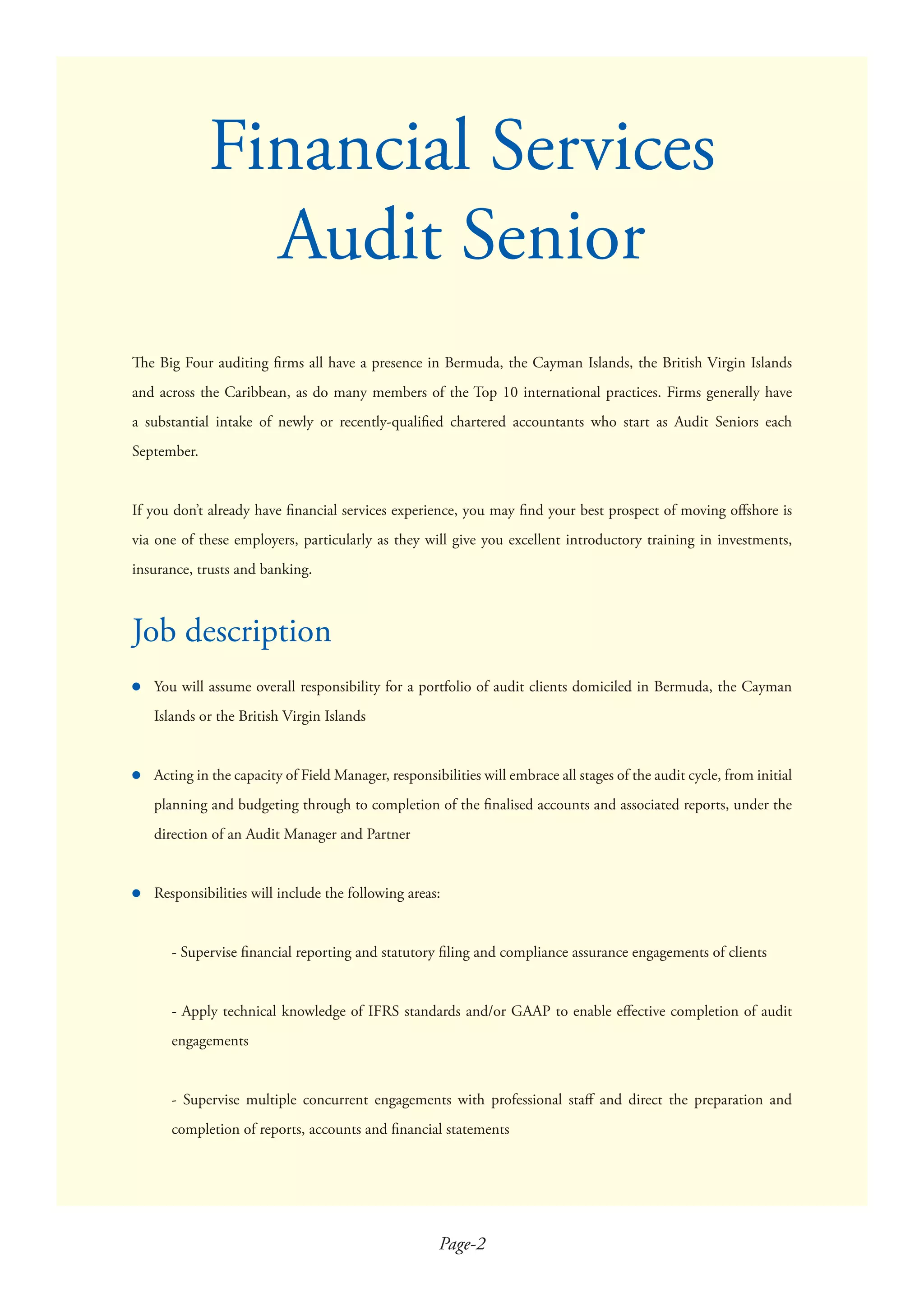 Financial Services Audit Senior | PDF