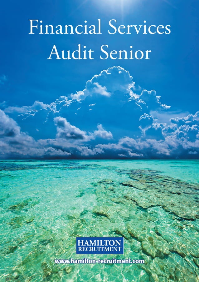 Financial Services Audit Senior | PDF