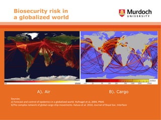 Dr Shashi Sharma, Chair in Biosecurity and Food Security, Murdoch ...