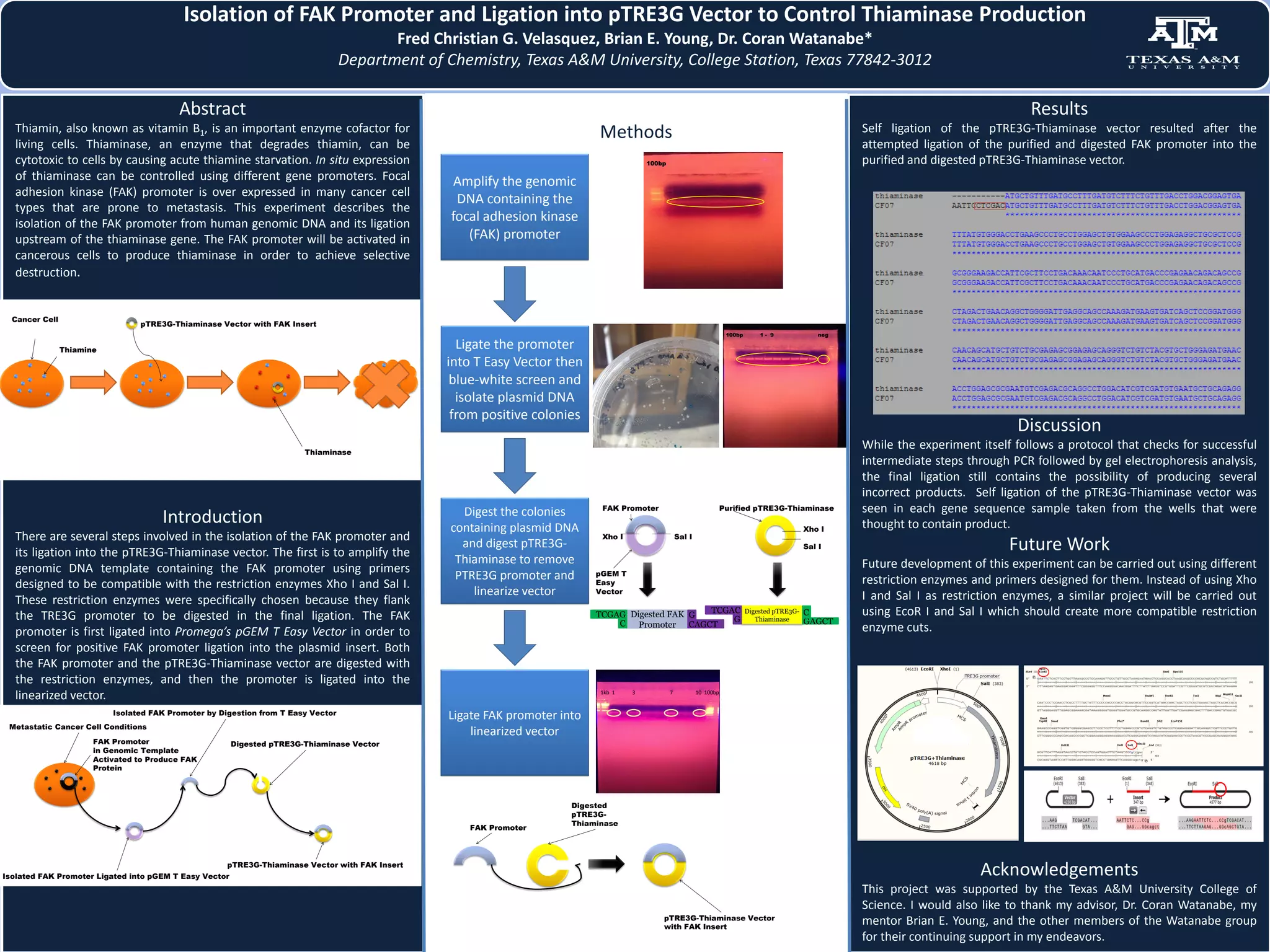 [REU] Poster Presentation | PPT