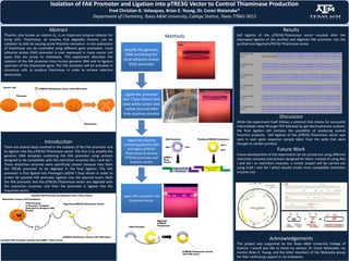 [REU] Poster Presentation | PPT