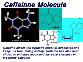 Caffeine Presentation.PPT
