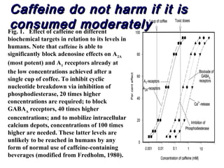 Caffeine Presentation.PPT