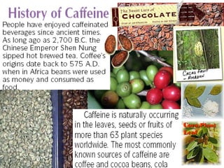 Caffeine Presentation.PPT