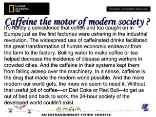 Caffeine Presentation.PPT