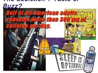 Caffeine Presentation.PPT