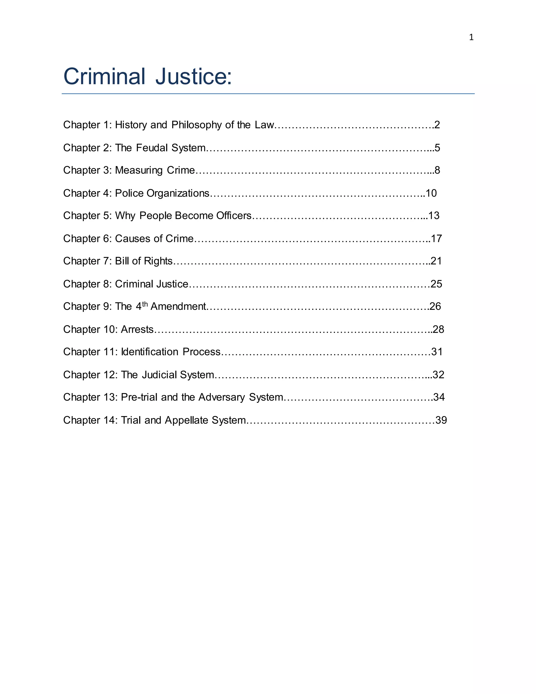 Criminal Justice 1010 Final Paper | PDF