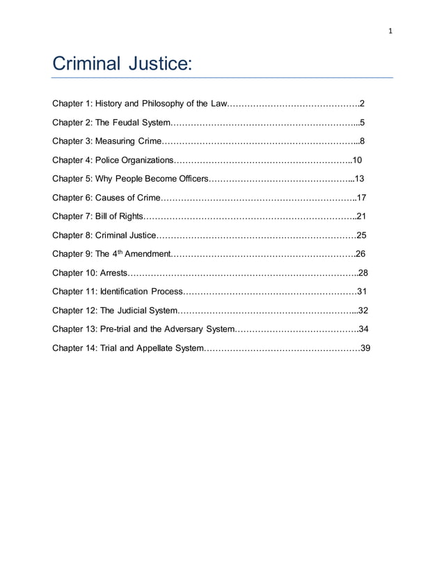 Criminal Justice 1010 Final Paper | PDF