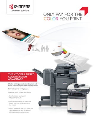 3-Tier Color Flyer | PDF