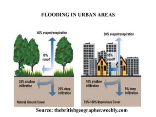 Effects Of Urbanization