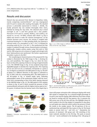 Nickel and cobalt transfigured natural clay: a green catalyst for low ...