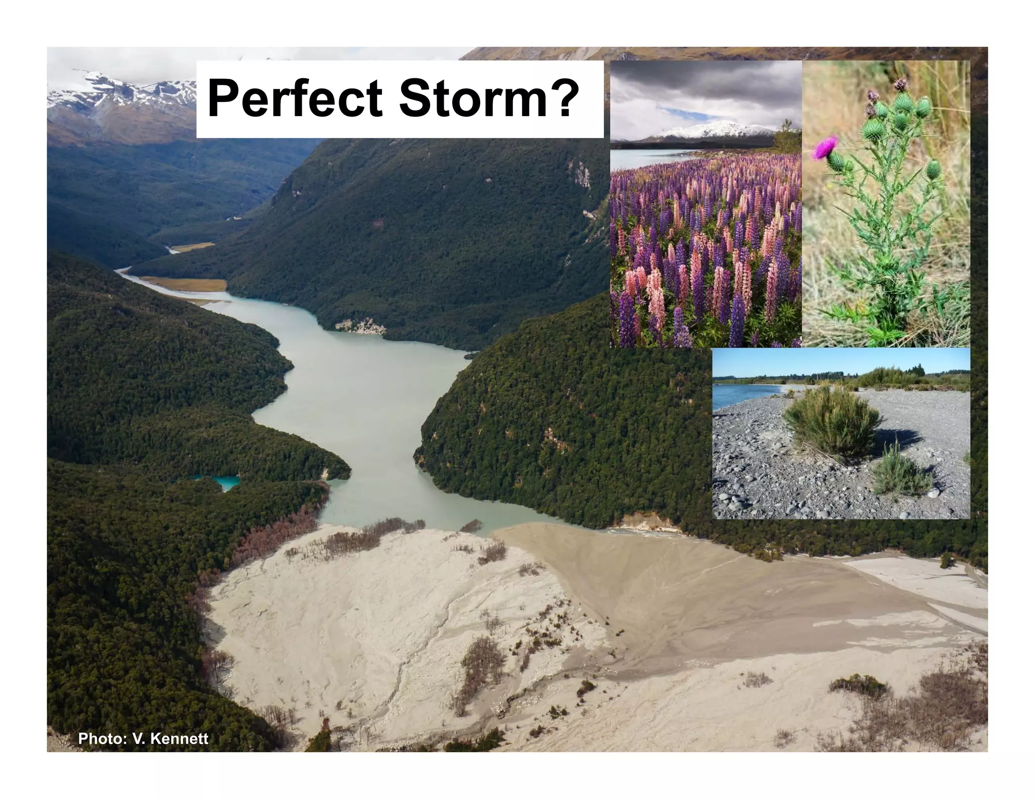 Simon Cox: New Zealand Mountains Falling Down | PDF | Geography | Science