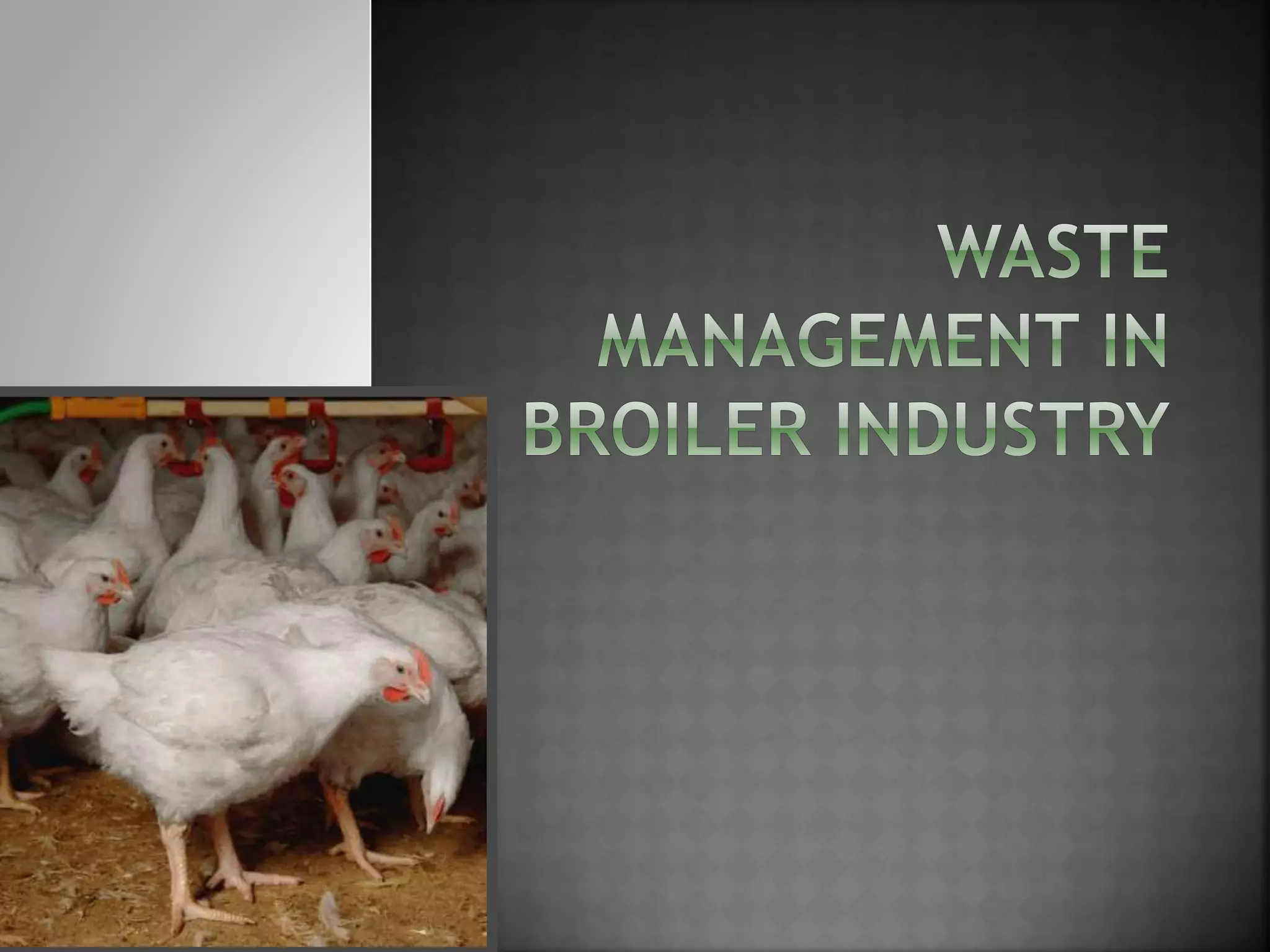 Waste management in broiler industry | PPTX