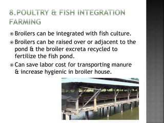 Waste management in broiler industry | PPTX