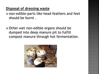 Waste management in broiler industry | PPTX