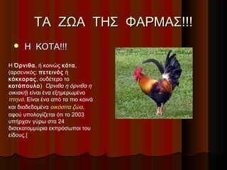 ΤΑ ΖΩΑ | PPT
