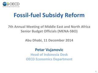Fossil-fuel Subsidy Reforem by Petar Vujanovic | PDF