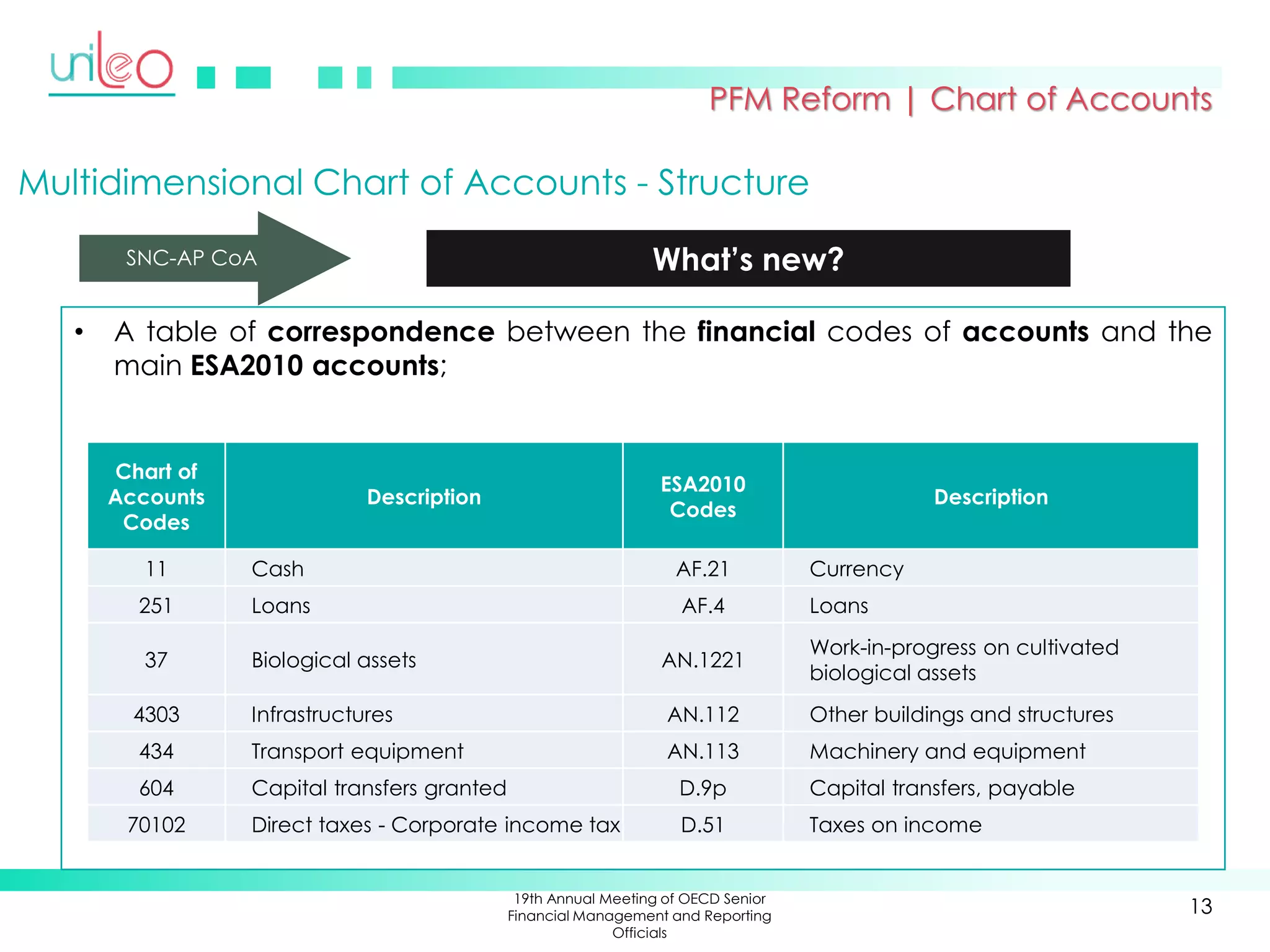 The Role of charts of Accounts - Luis Moreira, Portugal | PDF