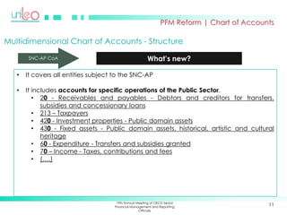 The Role of charts of Accounts - Luis Moreira, Portugal | PDF