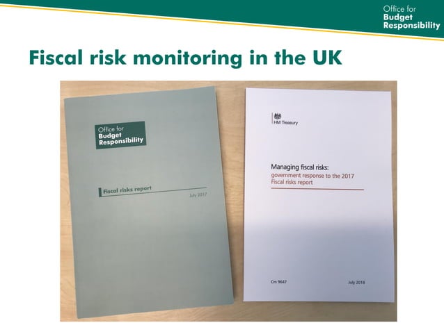 Fiscal Risk Management - Robert CHOTE, United Kingdom | PDF | Business ...