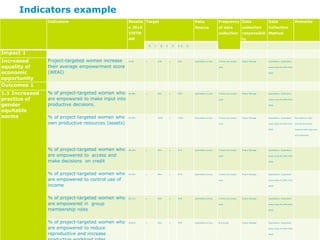 NAP Training Viet Nam - Designing and Monitoring Gender Indicators in ...