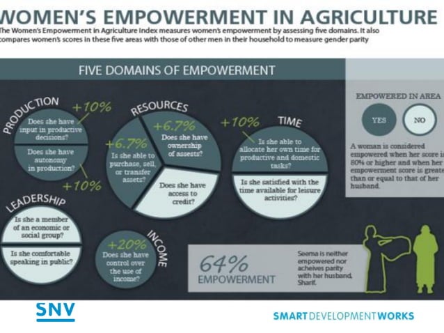 NAP Training Viet Nam - Designing and Monitoring Gender Indicators in ...