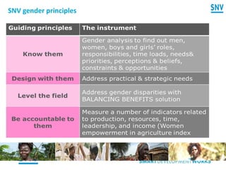NAP Training Viet Nam - Designing and Monitoring Gender Indicators in ...