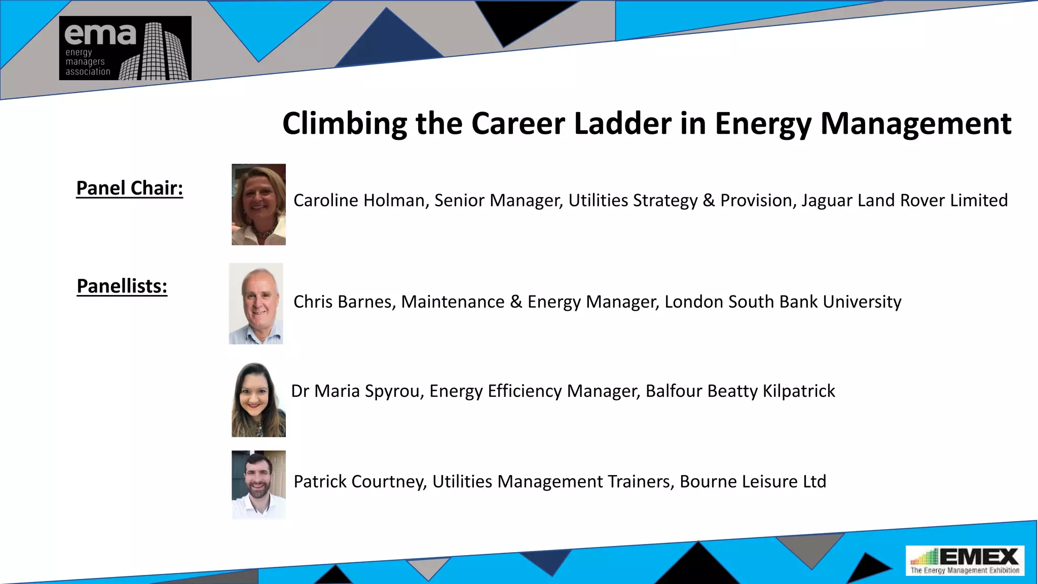 Climbing the Career Ladder in Energy Management | PDF
