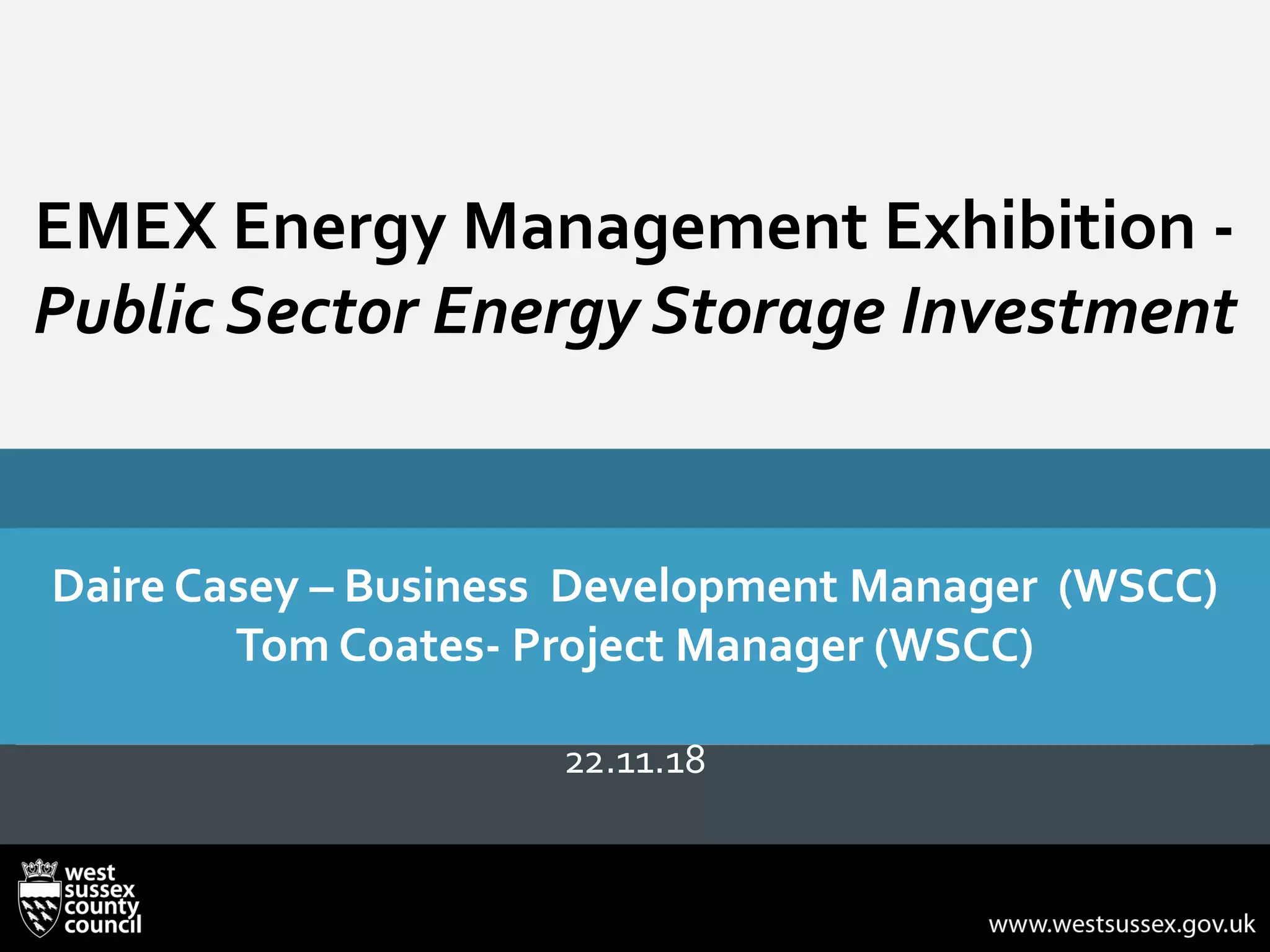Public Sector Energy Storage Investment | PDF