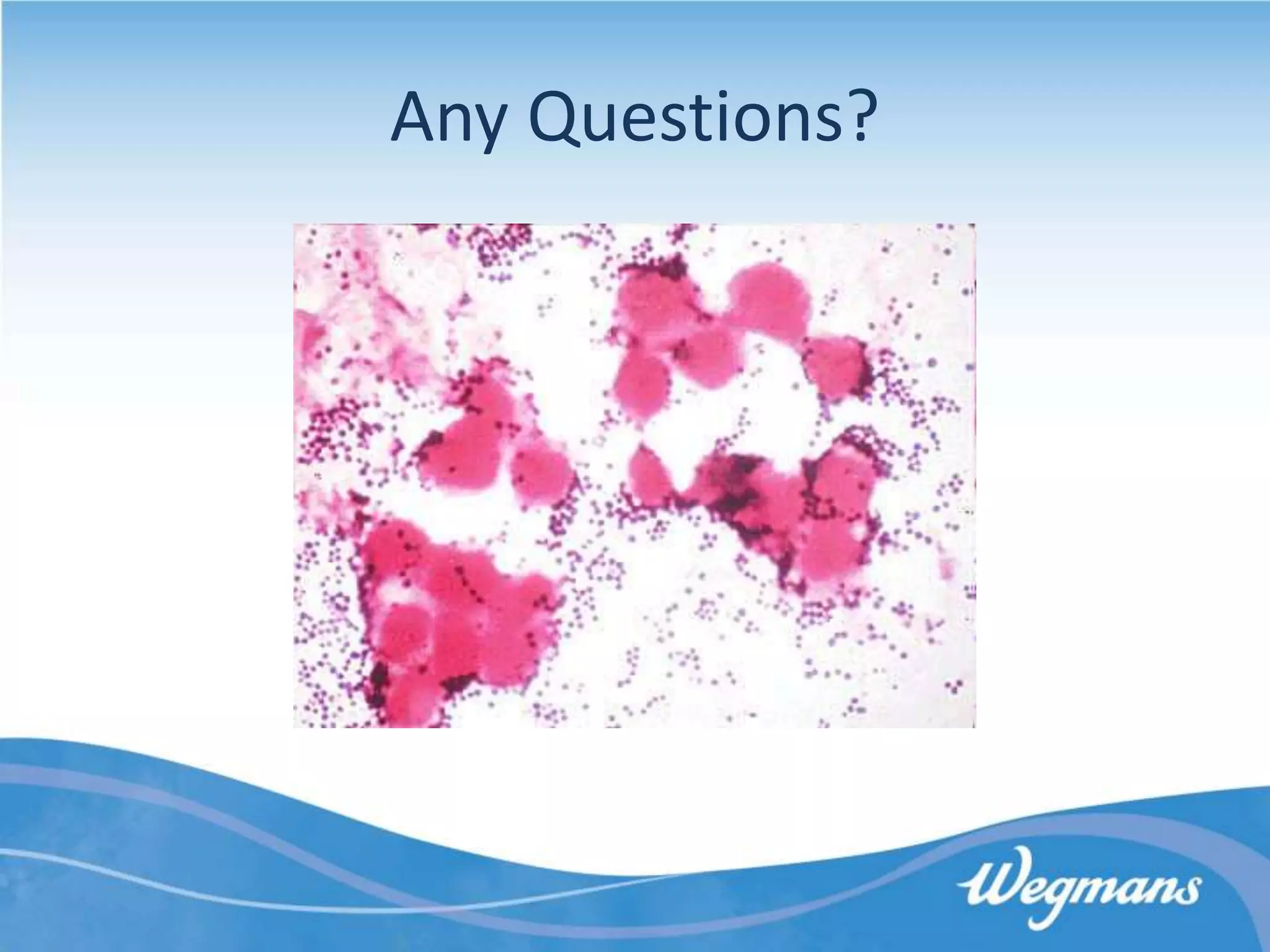Staphyloccal aureus (Staph) | PPTX