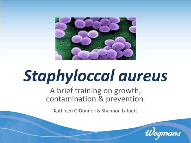 Staphyloccal aureus (Staph) | PPTX | Infectious Diseases | Diseases and ...