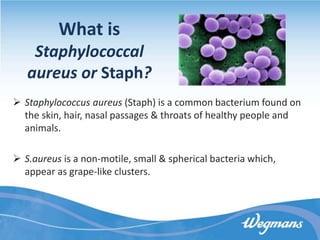 Staphyloccal aureus (Staph) | PPTX | Infectious Diseases | Diseases and ...