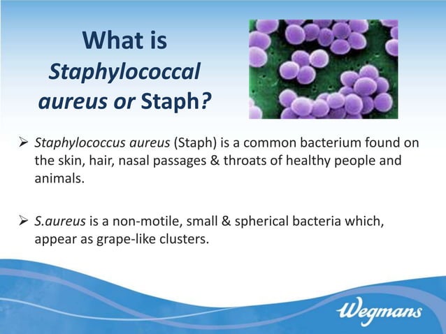 Staphyloccal aureus (Staph) | PPTX | Infectious Diseases | Diseases and ...