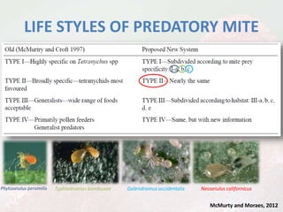 Predatory and Spider mite interaction | PPTX