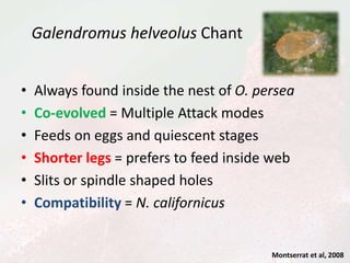 Predatory and Spider mite interaction | PPTX