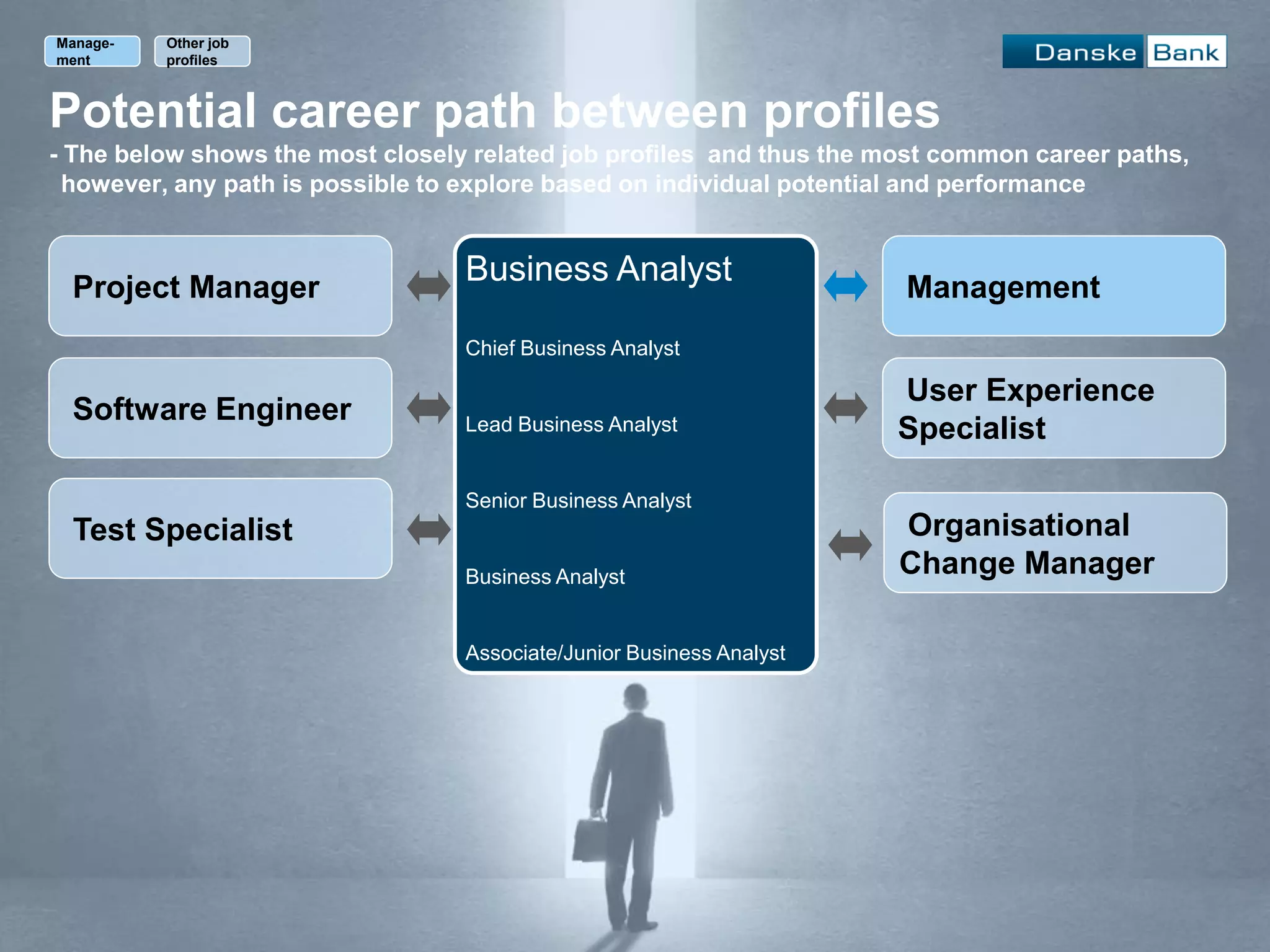 Potential career path between profiles | PDF