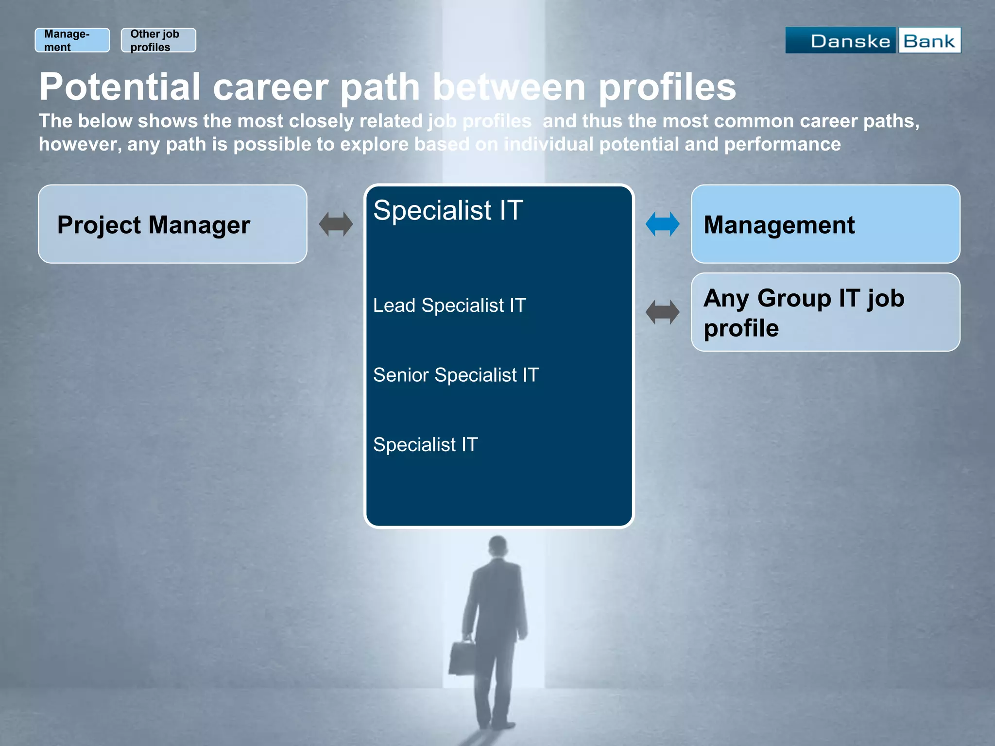 Potential career path between profiles | PDF