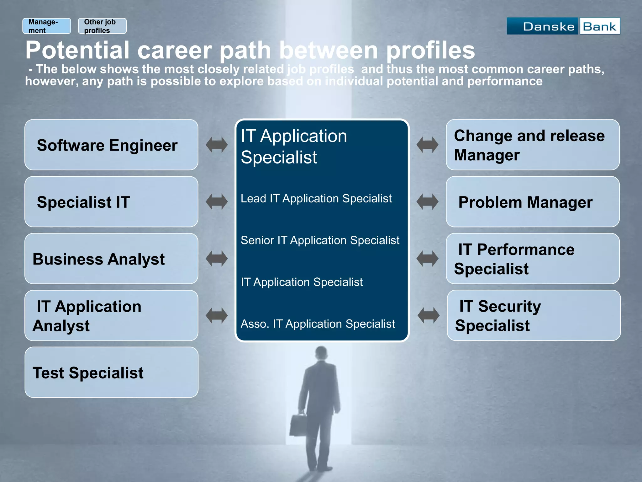 Potential career path between profiles | PDF