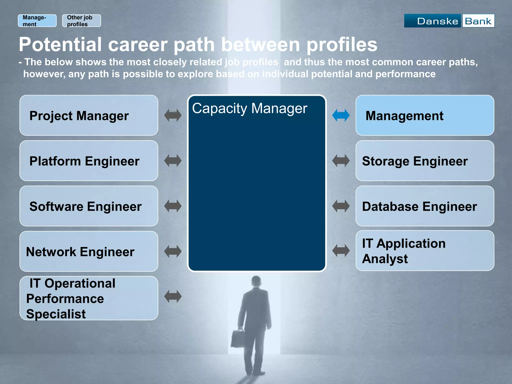 Potential career path between profiles | PDF