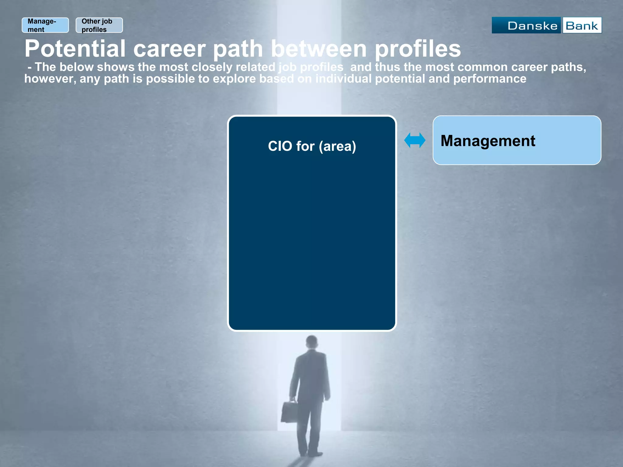 Potential career path between profiles | PDF | Operating Systems | Computer Software and ...